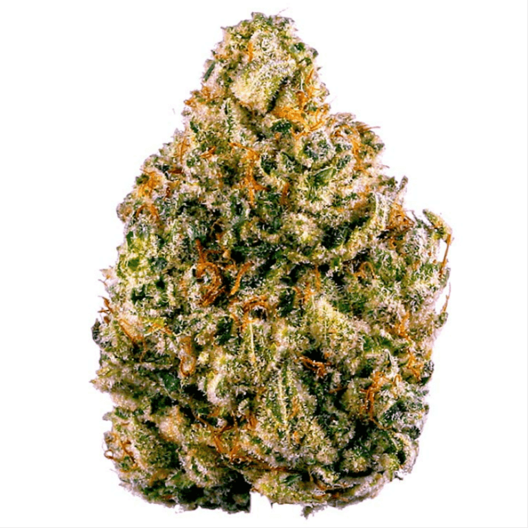 Gelato Seeds marijuana seeds for sale | #1 cannabis seedbank