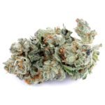 Everything you Need to Know About the Popular Larry OG Strain | Gelato ...